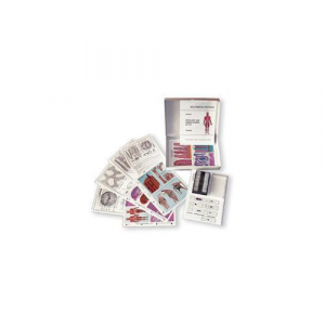 Buy 3B Scientific 1004404, Mitosis and Meiosis Student Slide Set - Mega ...