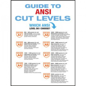 Buy Accuform SP125192L, Safety Poster, Guide to ANSI Cut Levels, 22" x ...