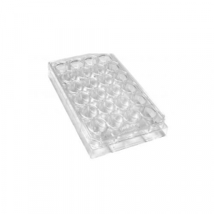 Buy Bellco Glass 1300-00313, 24-Well Plates With Lids Polystyrene ...