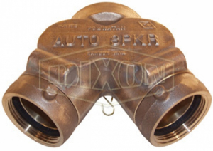 Buy Dixon Valve DCS4030NYFD-SP, 4" x 3" Double Clapper Siamese ...