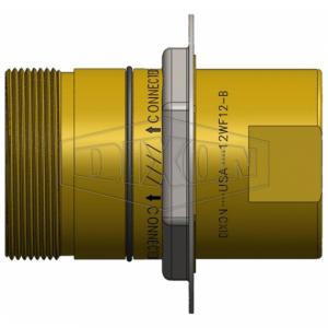 Buy Dixon Valve W8F8-B-BMF, DQC W-Series 1" Wingstyle Female Brass Plug ...