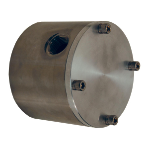 Buy Dixon Valve FT191S, Checkmate Detection Stainless Probe - Mega Depot