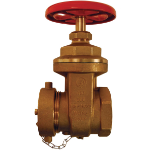 Buy Dixon Valve WDGV251F, Non-rising Stem Wedge Disc Forged Gate Valve ...