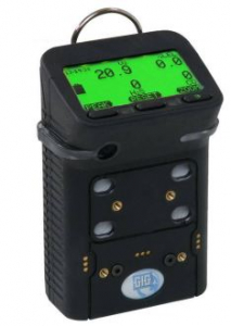Buy GfG Instrumentation G450-11410, G450 Data Logging Gas Detector ...