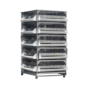 Buy GQF 0540, Deck Game Bird/Poultry Battery Brooder - Mega Depot