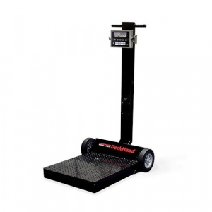 Buy Rice Lake 169708, DeckHand Floor Scale System, 1000 lb, 115 VAC ...