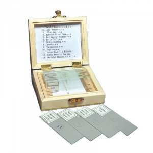 Buy United Scientific Supplies SLD200-SET/12, Set of Prepared Slides ...