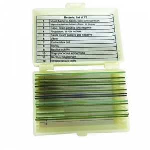 Buy United Scientific Supplies UNSLBAC12, Bacteria Slide Set - Mega Depot