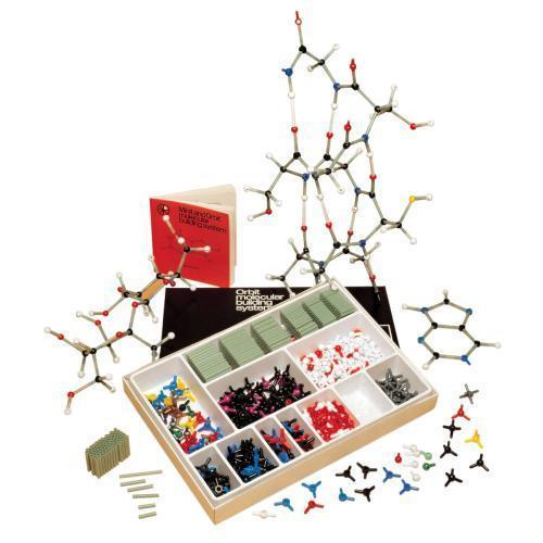 Buy 3B Scientific 1005303, Class Set Biochemistry Model - Mega Depot