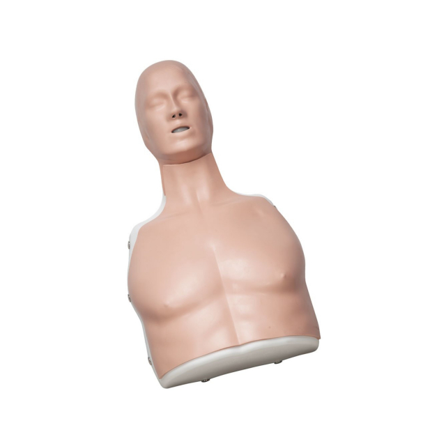 Buy 3B Scientific 8000951, BASIC Billy+ Basic Life Support Simulator - Mega Depot