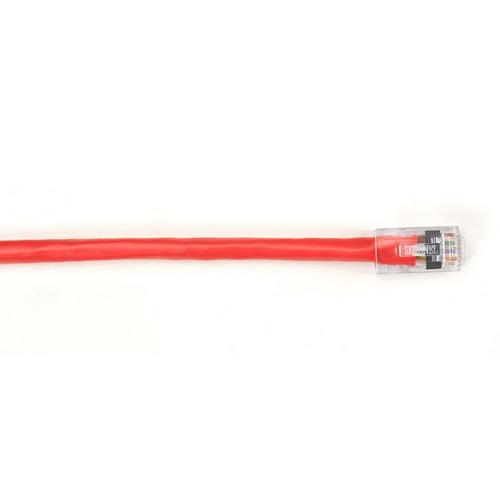 Buy BlackBox EYN903MS-0010, EYN9 Series CAT6 Backbone Cable, Red, 10-ft ...