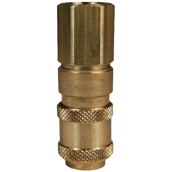 Buy Dixon Valve 2AF2-B-SV, A-Series 1/4" x 1/4" Compact Coupler, Female ...