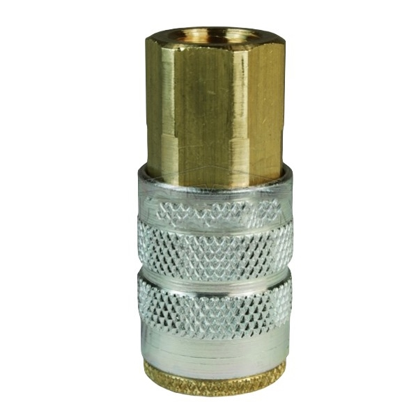 Buy Dixon Valve F-2FF2-B, F-Series 1/4" x 1/4" Brass Coupler - Mega Depot