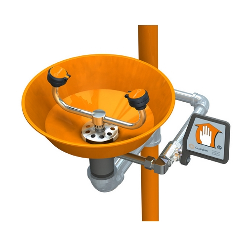 Buy Guardian Equipment G1902P, Safety Station with Eyewash, Plastic ...