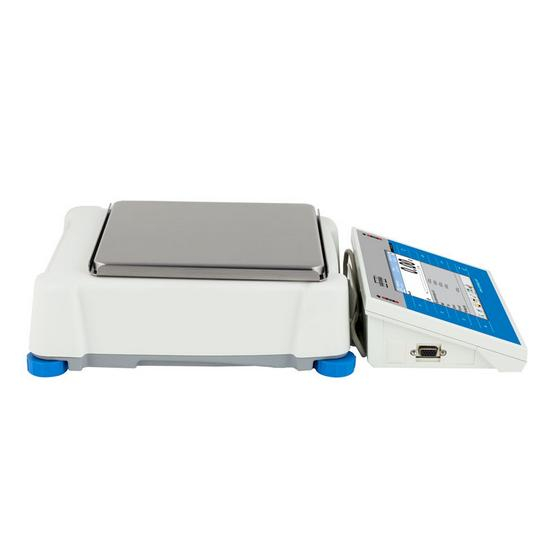 Buy Radwag PS 6000.3Y, PS 3Y 6000g Max Capacity Precision Scale - Mega Depot
